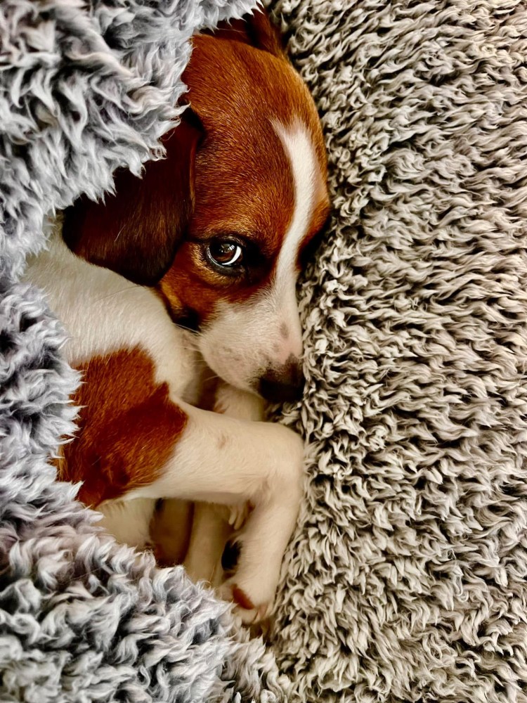 Love Delivered – Janesville Apostolic Ministries